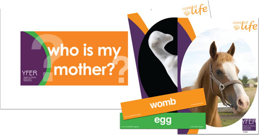 Who is my mother? Game – Core of Life